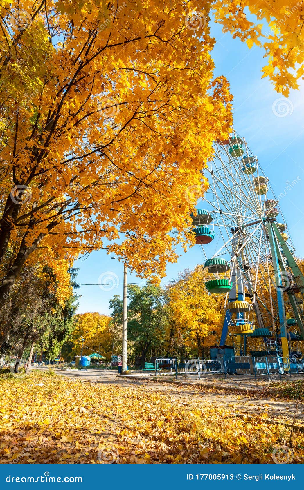 Maples in autumn park stock image. Image of orange, clouds - 177005913