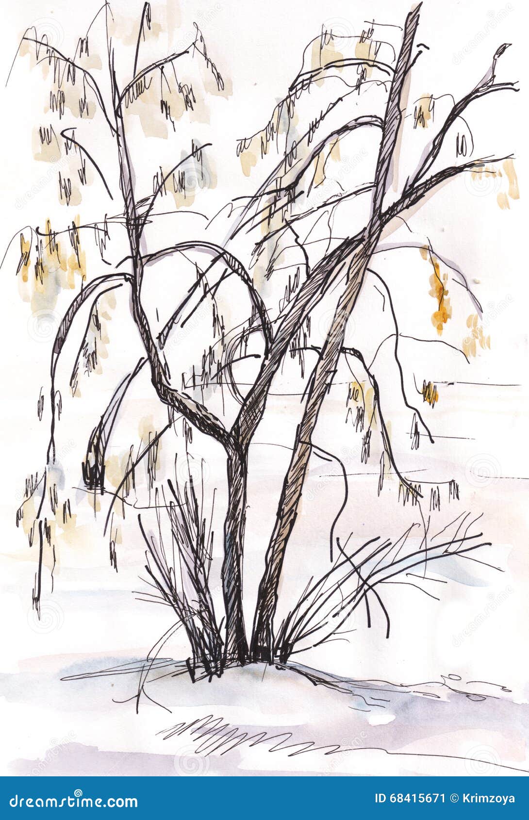 Maples in the winter stock illustration. Illustration of drawn - 68415671