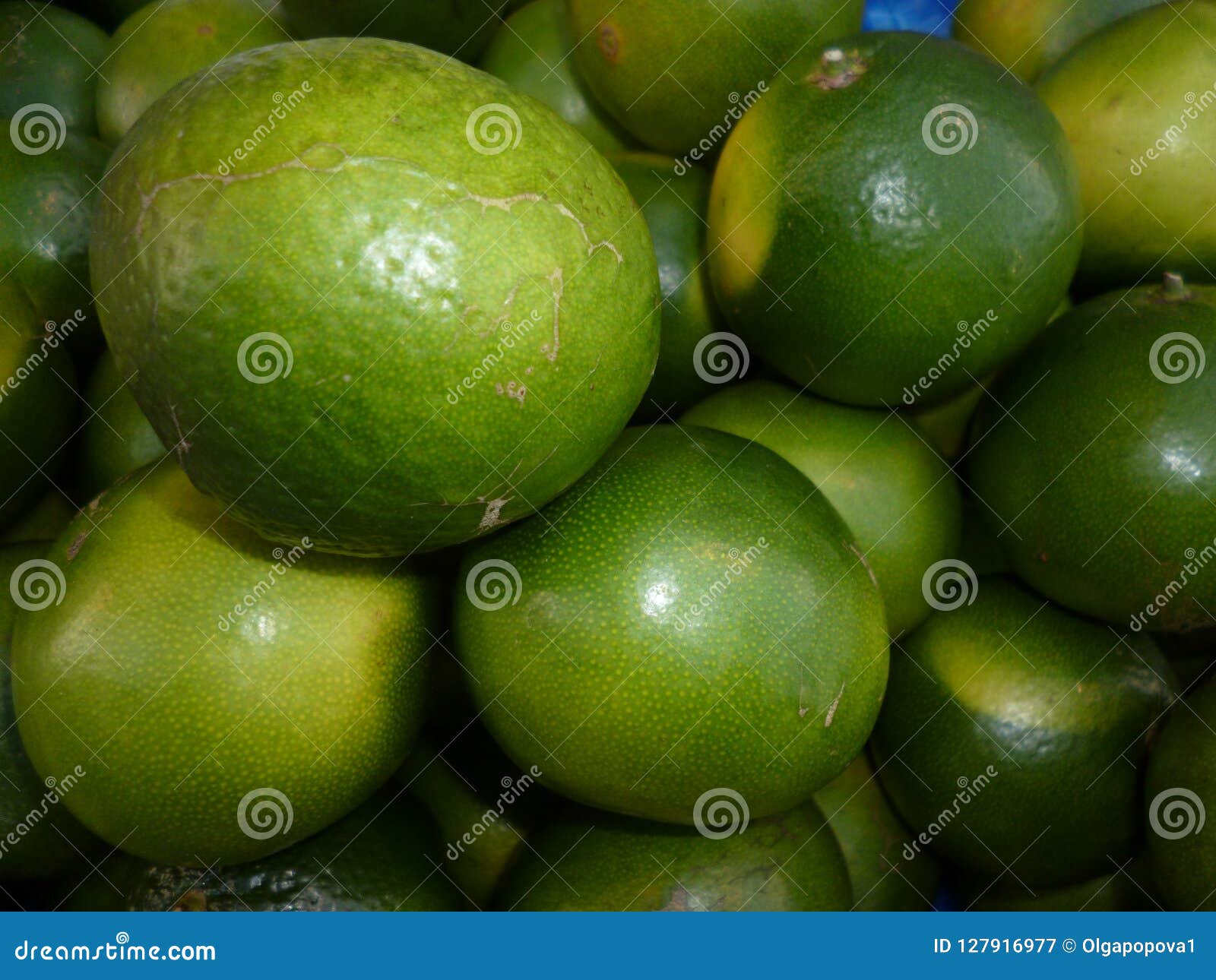 Mapo Del Mandarina-pomelo En El Mercado Imagen de archivo - Imagen de ...