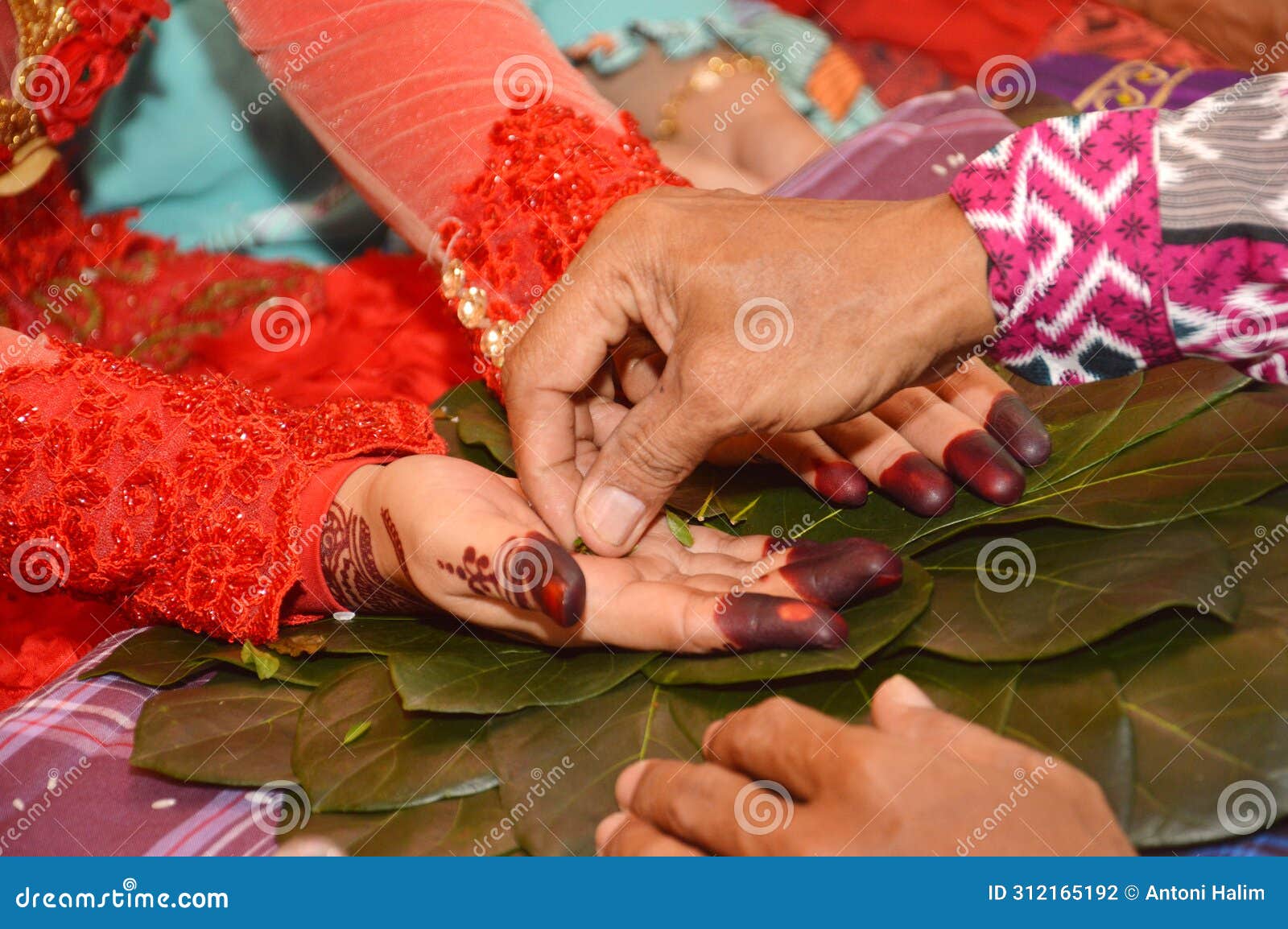 Mappacci stock photo. Image of bugis, sulawesi, ceremony - 312165192