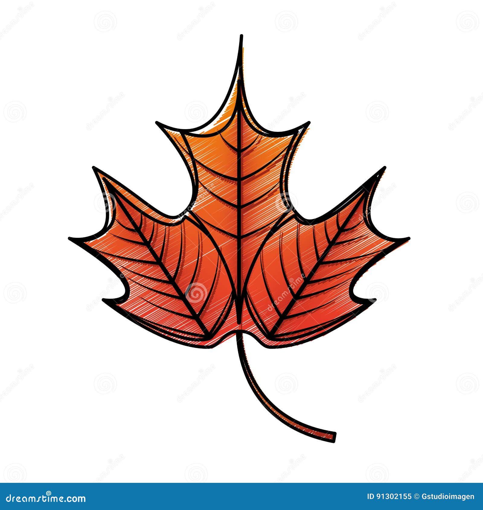Mapple leaf isolated icon stock vector. Illustration of fall - 91302155