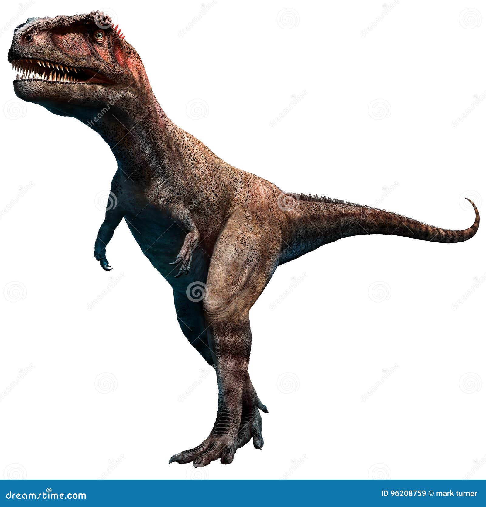 Mapusaurus Stock Illustrations – 62 Mapusaurus Stock Illustrations ...