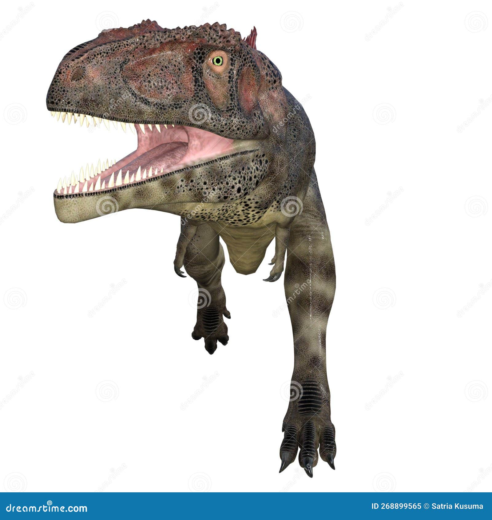 Mapusaurus Dinosaur Isolated on Tranparent Stock Image - Illustration ...
