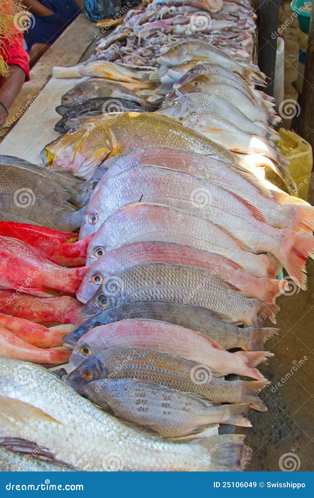 Maputo fish market stock image. Image of marketplace - 25106049