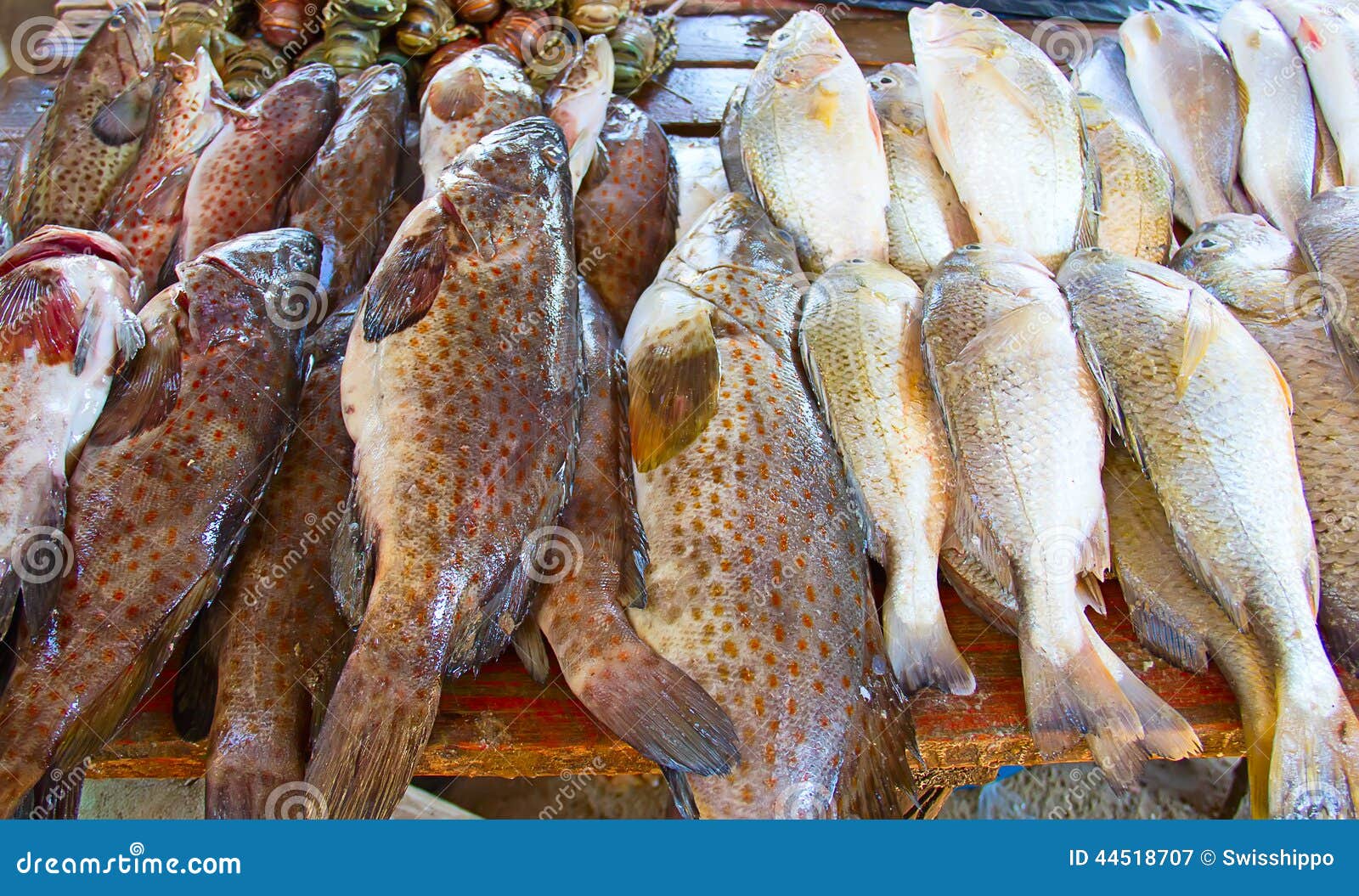 Maputo fish market stock image. Image of retail, green - 44518707