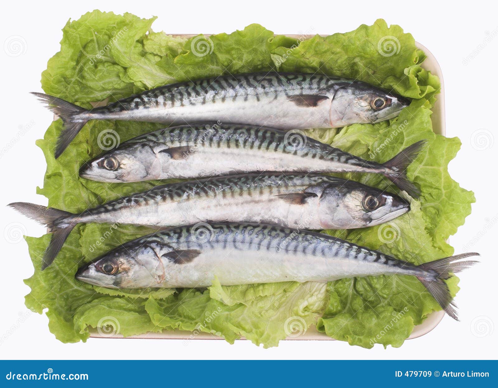 Maquereau (poissons) image stock. Image du mince, cholestérol - 479709