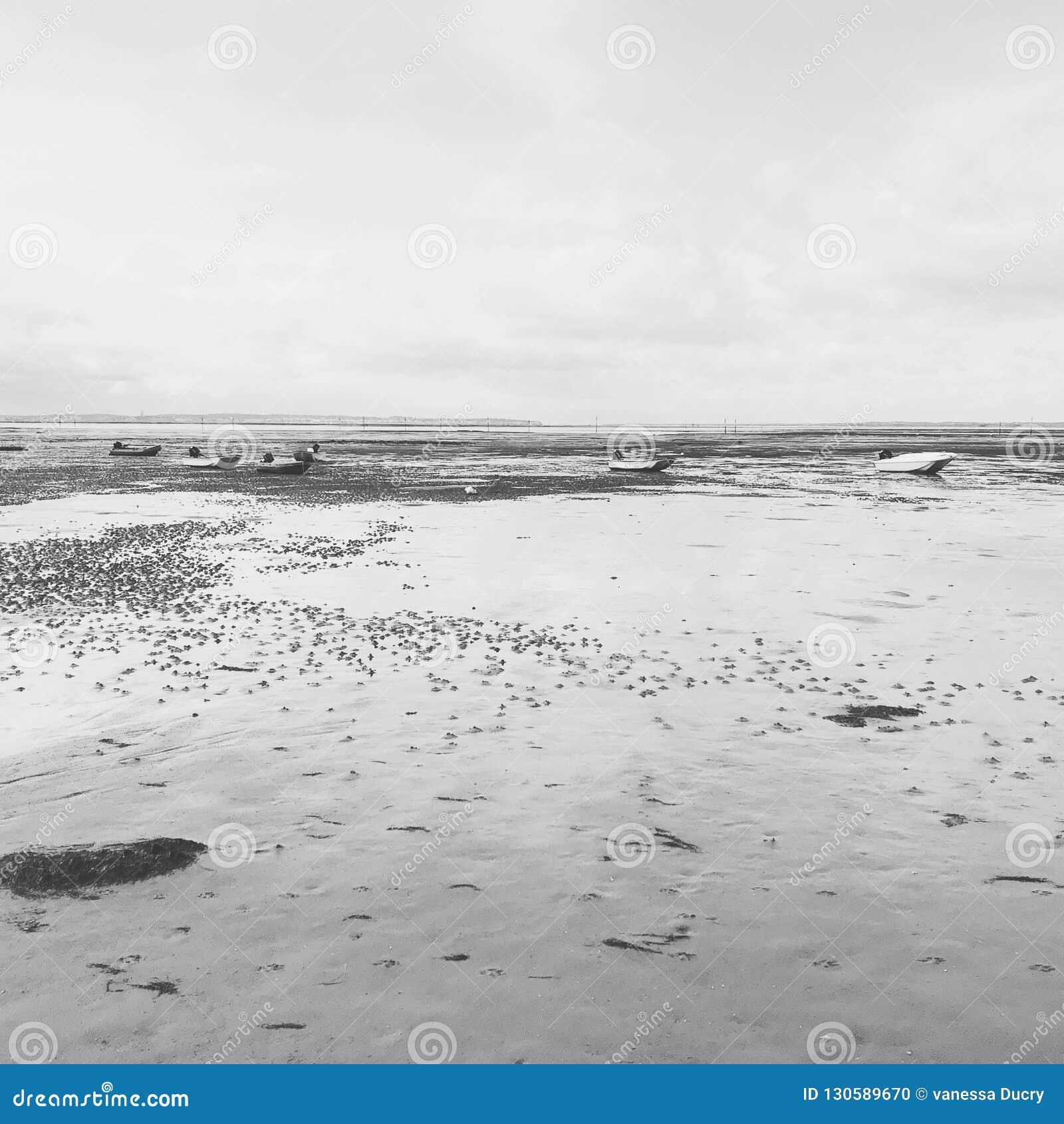 Mar blanco y negro foto de archivo. Imagen de arena - 130589670