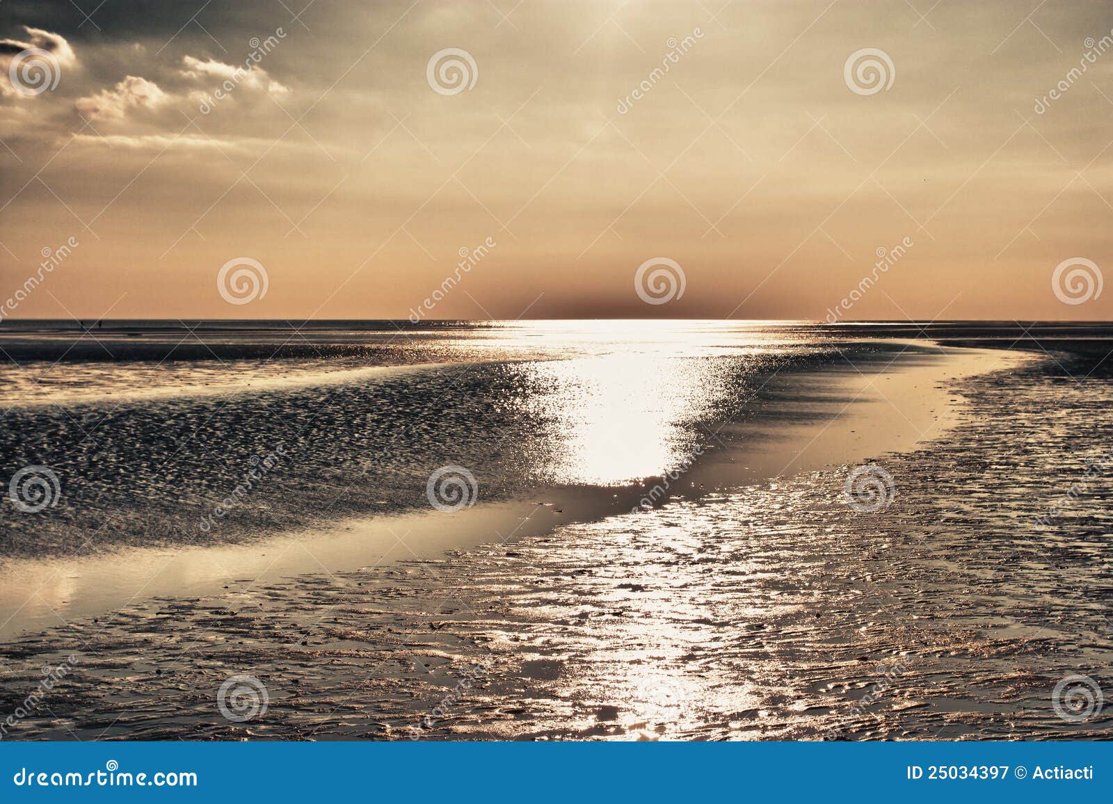 Mar de Wadden imagen de archivo. Imagen de amplio, hierba - 25034397