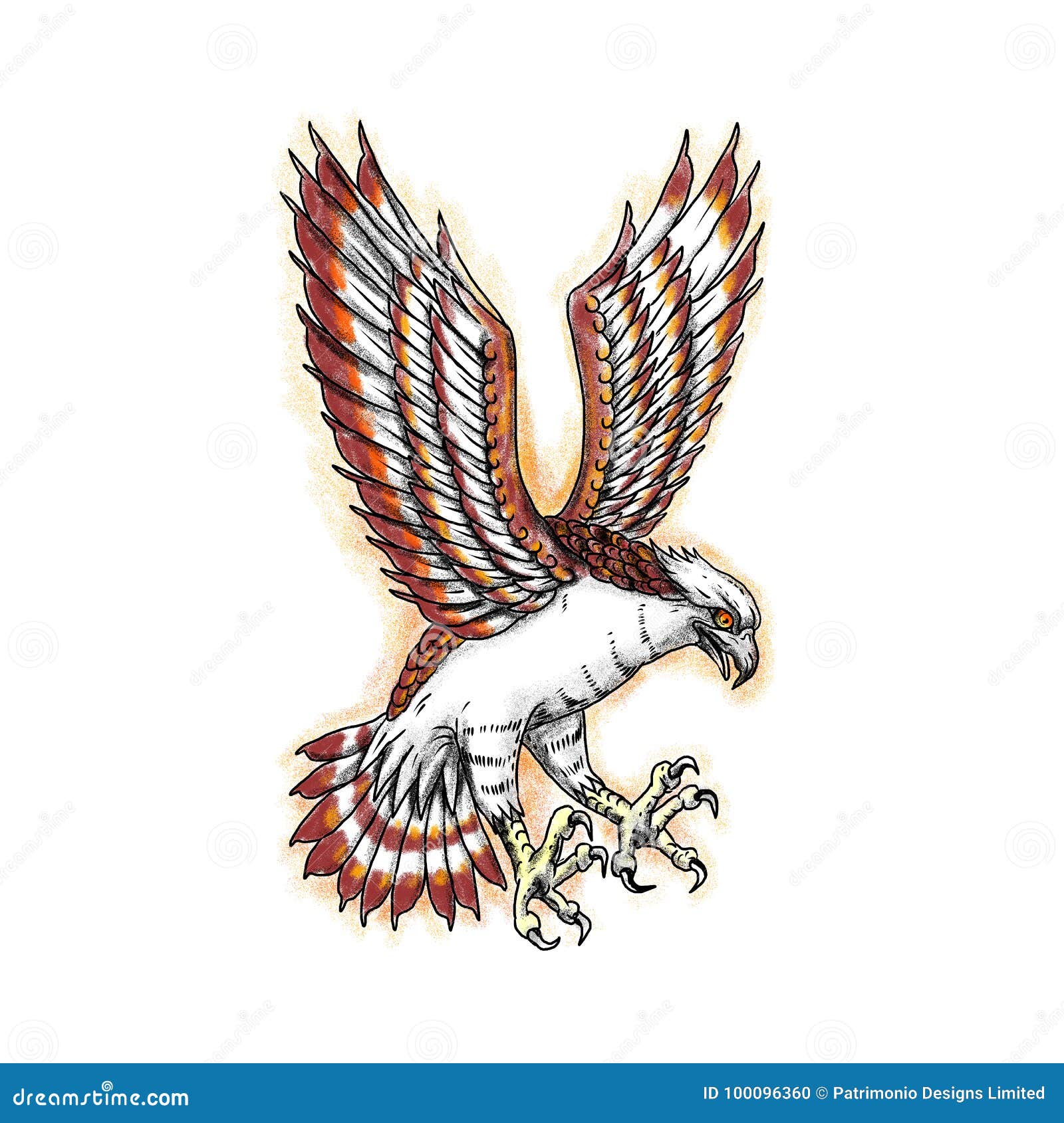 Mar Hawk Swooping Tattoo De Osprey Stock de ilustración - Ilustración ...
