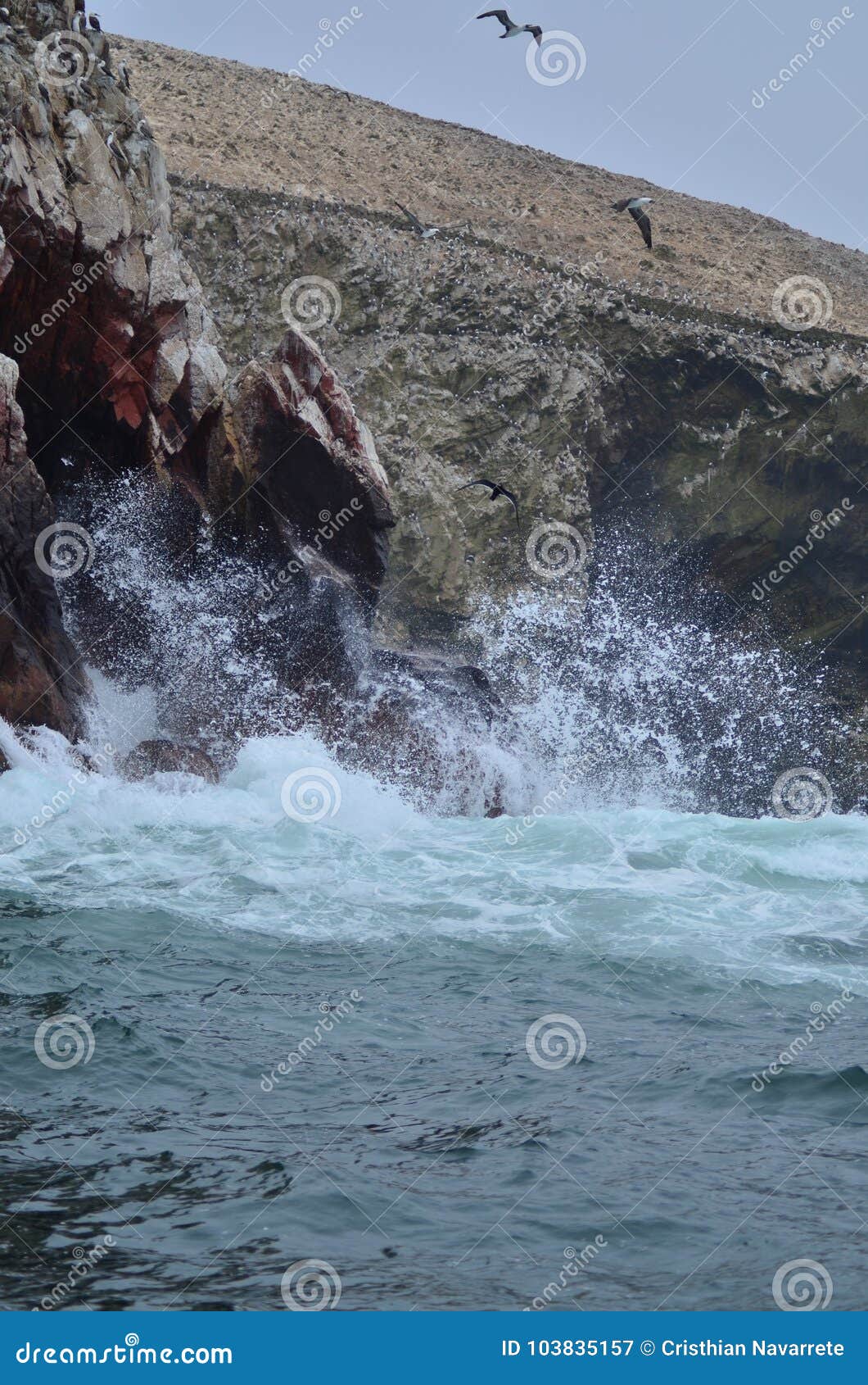 Mar salvaje imagen de archivo. Imagen de preciosamente - 103835157