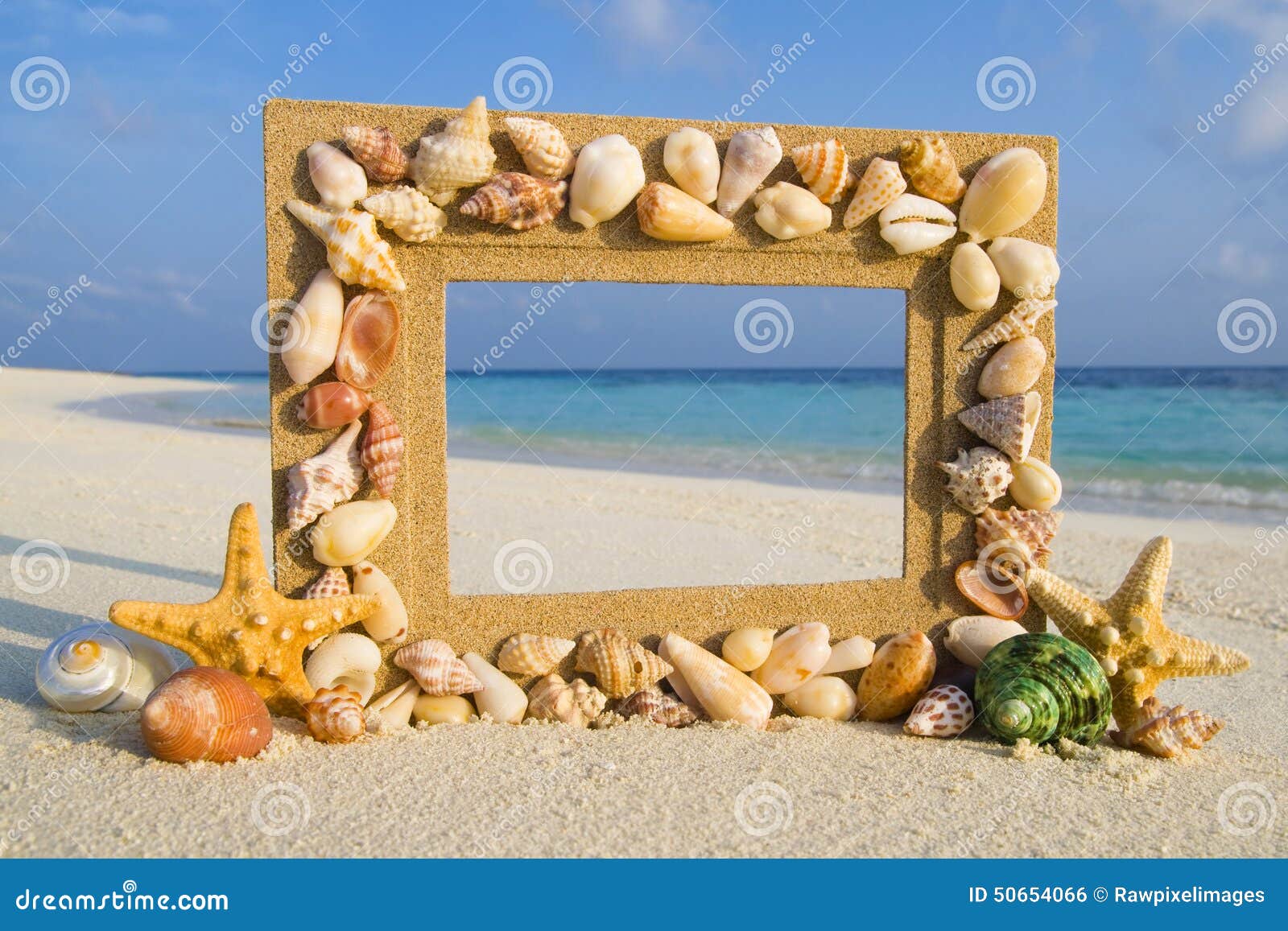 Mar Shell Sand Frame Beach Concept Foto de archivo - Imagen de apacible ...