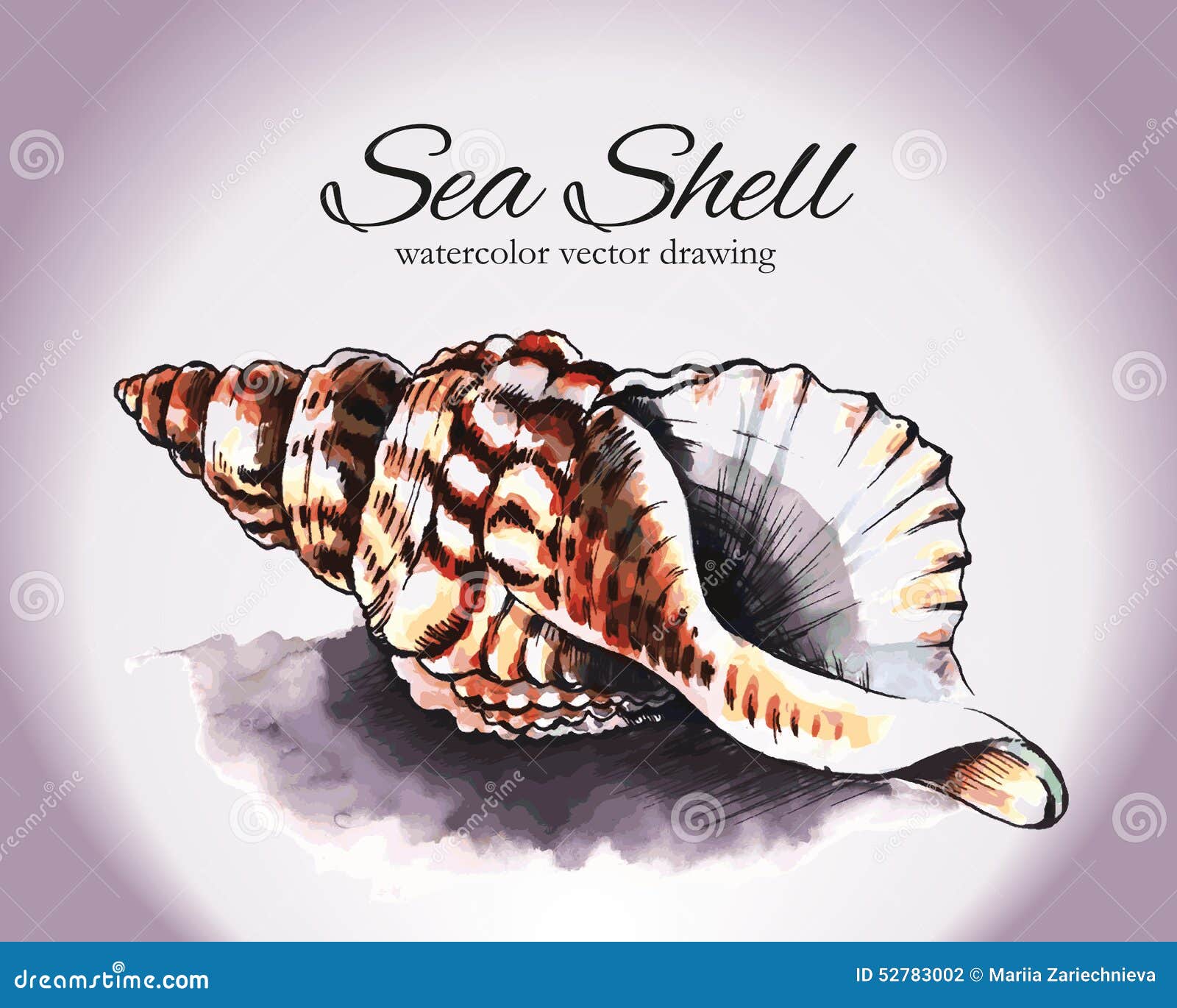 Mar Shell Vector Watercolor Drawing Ilustración del Vector ...