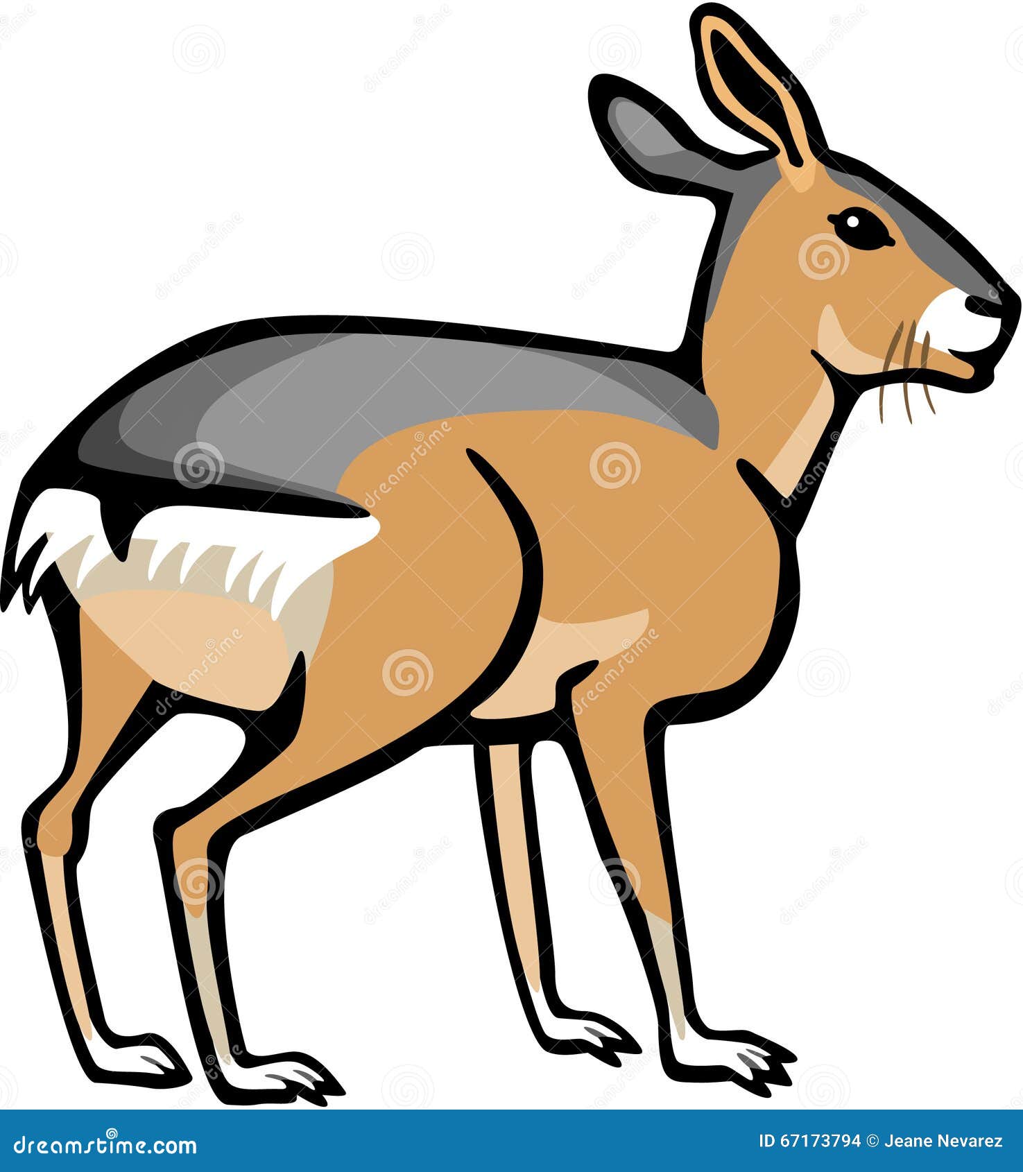 Mara Cartoon Vector | CartoonDealer.com #67173809