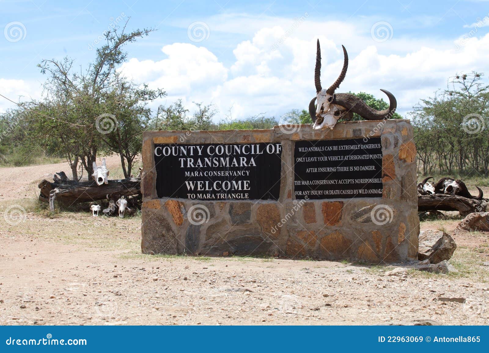 The Mara Triangle editorial stock image. Image of skull - 22963069