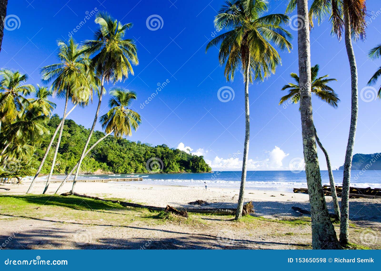 Maracas Bay, Trinidad stock photo. Image of destinations - 153650598