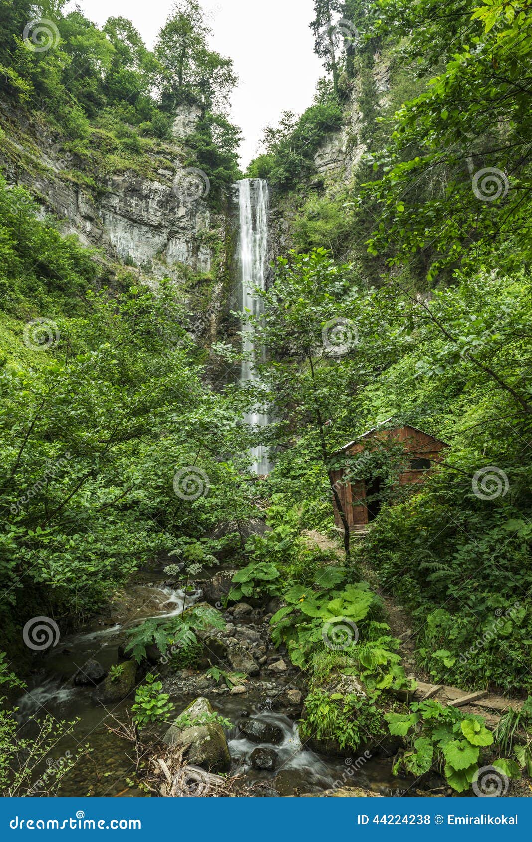 Maral Waterfall, Artvin Turkey Stock Photo - Image of forest, river ...
