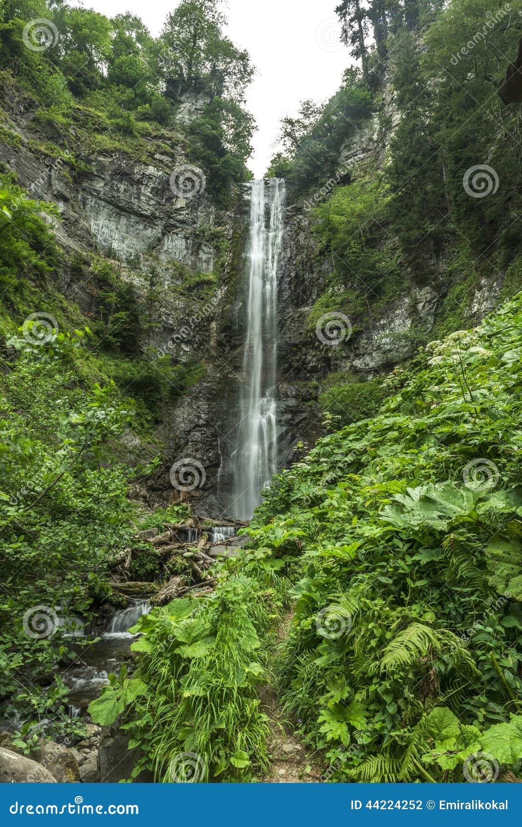 Maral Waterfall, Artvin Turkey Stock Photo - Image of stone, landscape ...