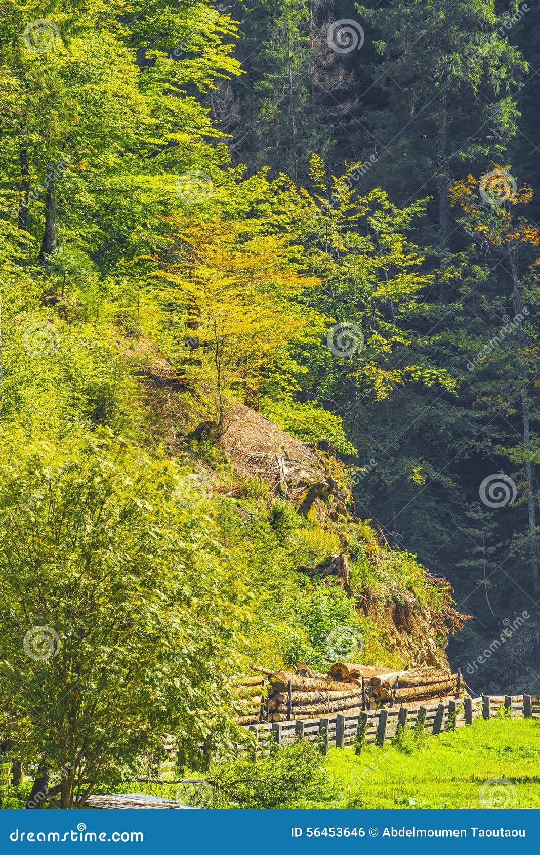 Maramures foto de archivo. Imagen de hermoso, colores - 56453646