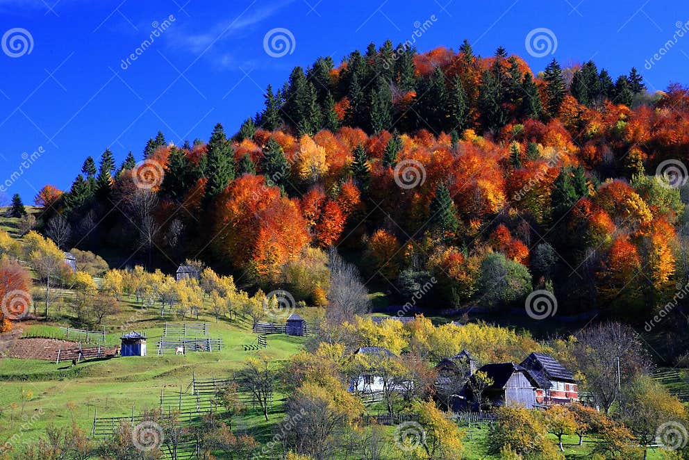 Maramures landscape stock photo. Image of mountain, trees - 7359342