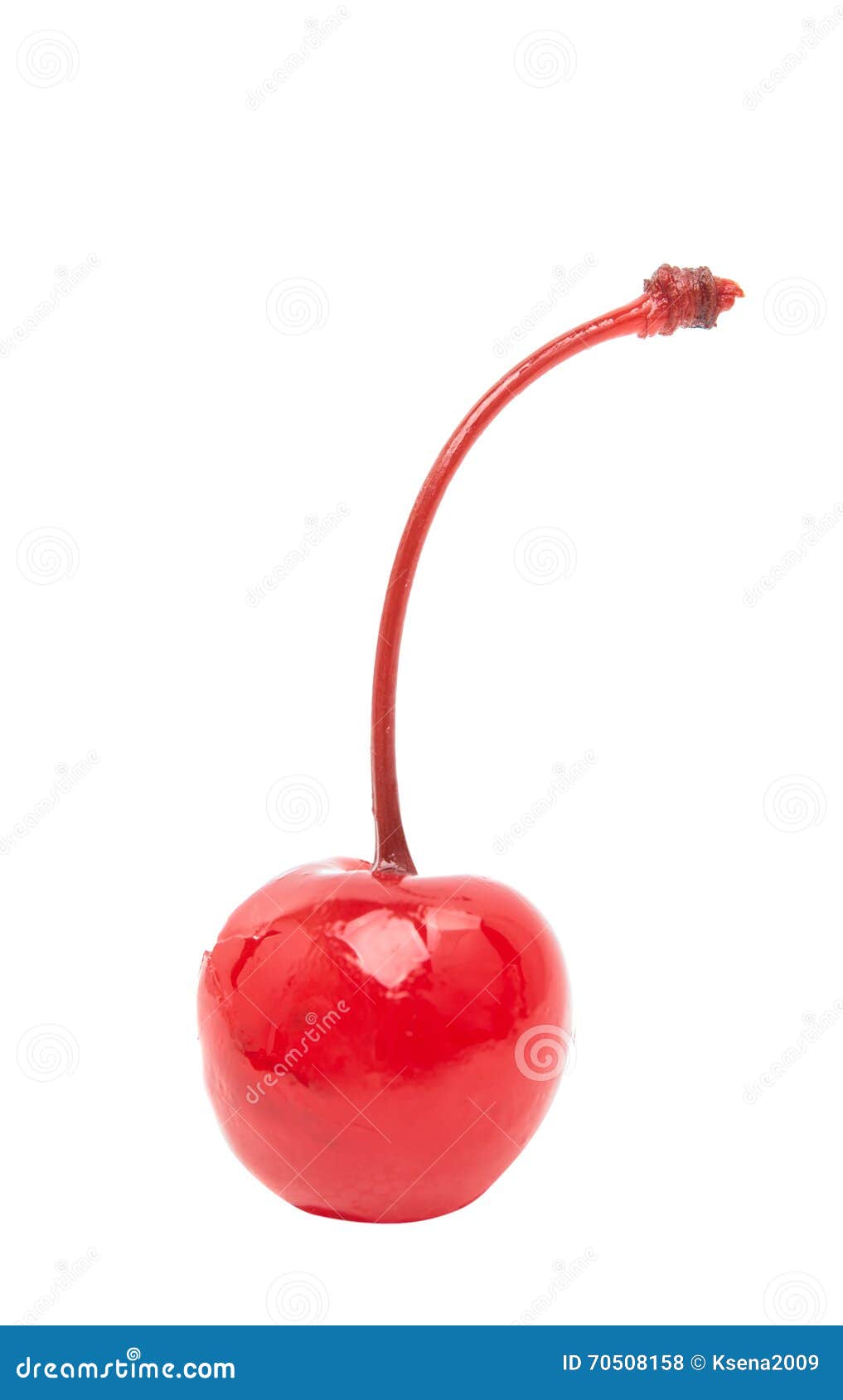 Maraschino cherry isolated stock photo. Image of cherries - 70508158