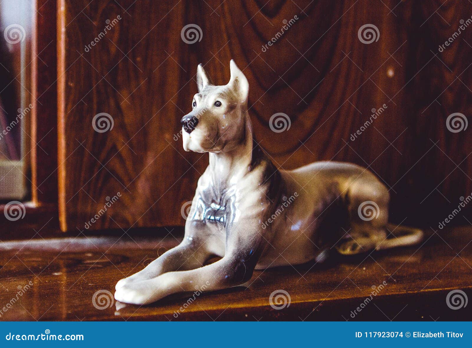 Marble dog stock photo. Image of lying, marble, home - 117923074