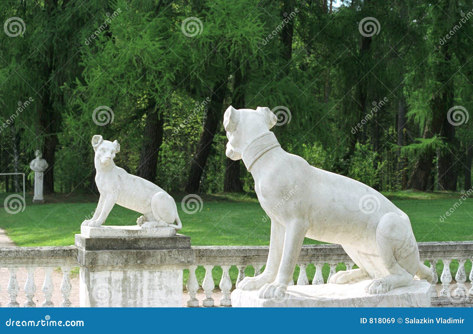 Marble Dogs Picture. Image: 818069