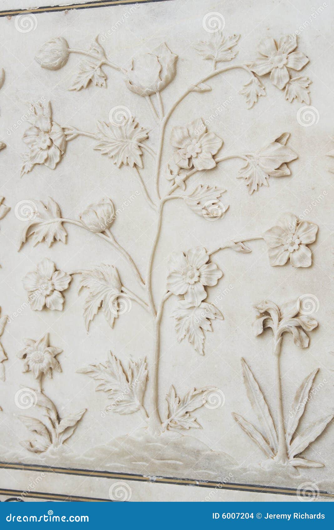 Marble Flower stock photo. Image of beauty, flower, marble - 6007204