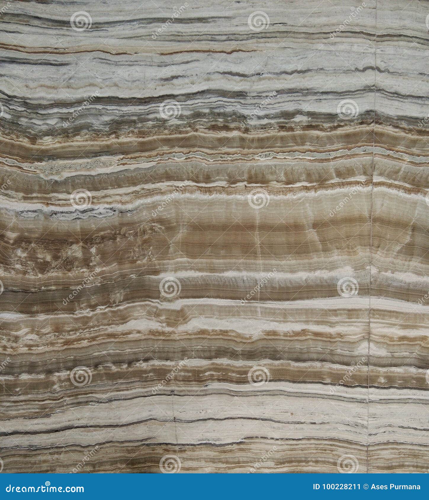 Marble grain stock image. Image of brown, serpegiante - 100228211