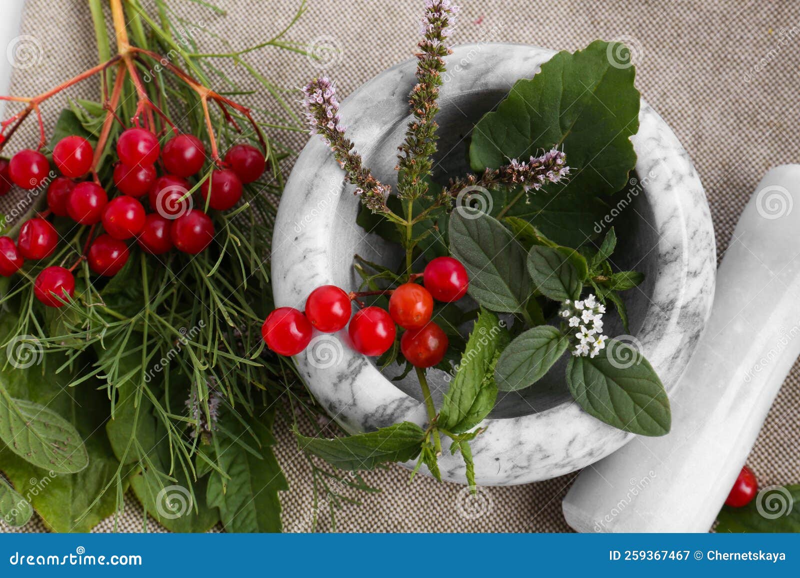 Marble Mortar with Different Herbs, Berries and Pestle on Cloth, Top ...