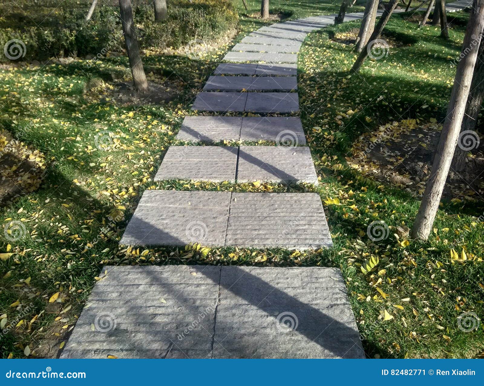 The Marble Path of the Botanical Garden Stock Image - Image of ...