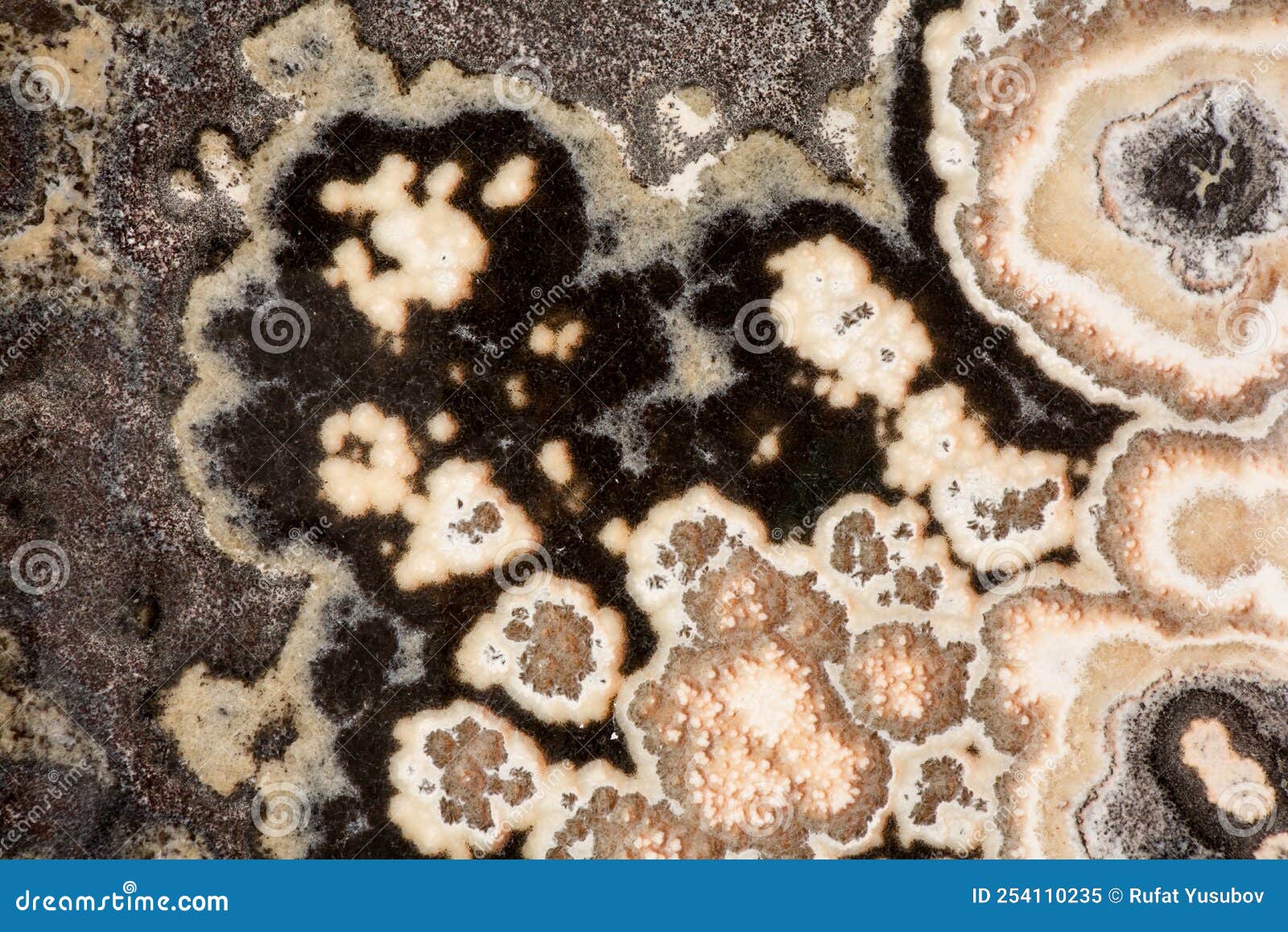 Marble Rocks of Different Types Natural Wild Stock Image - Image of ...