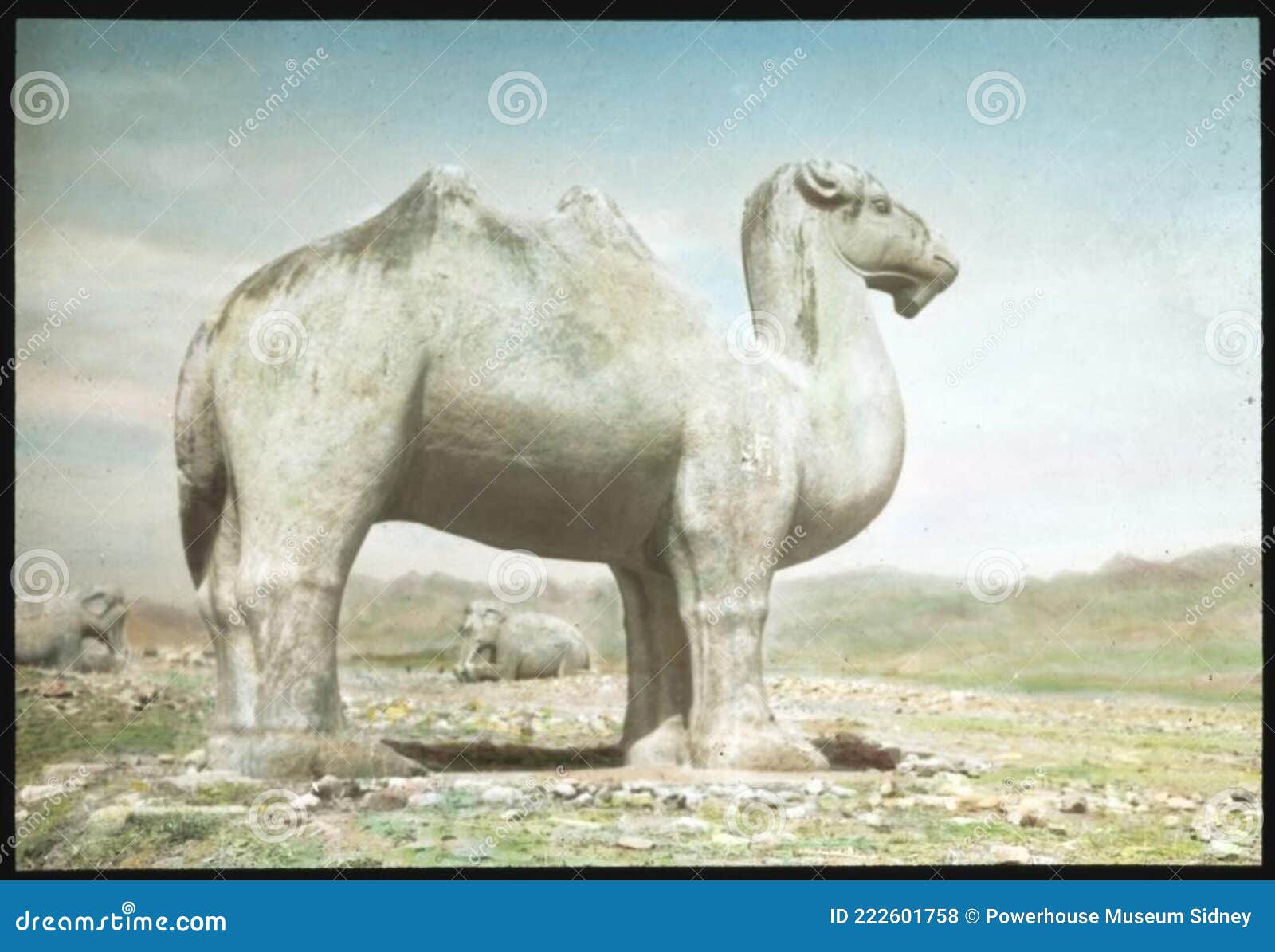 The Marble Statue Of A Standing Camel On The Sacred Way Of Ming Tombs ...
