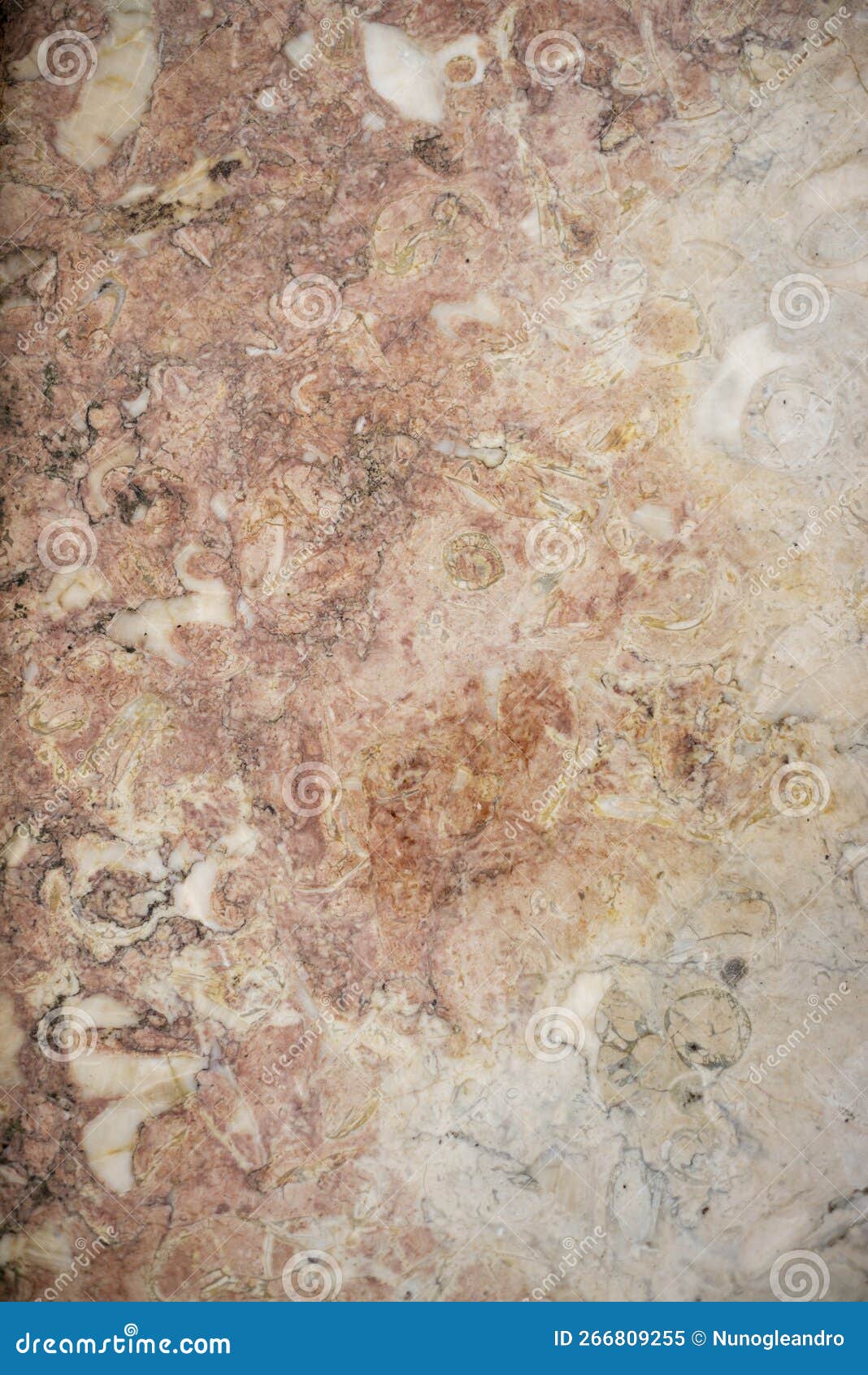 Marble Stone Background Image Stock Image - Image of prints, background ...