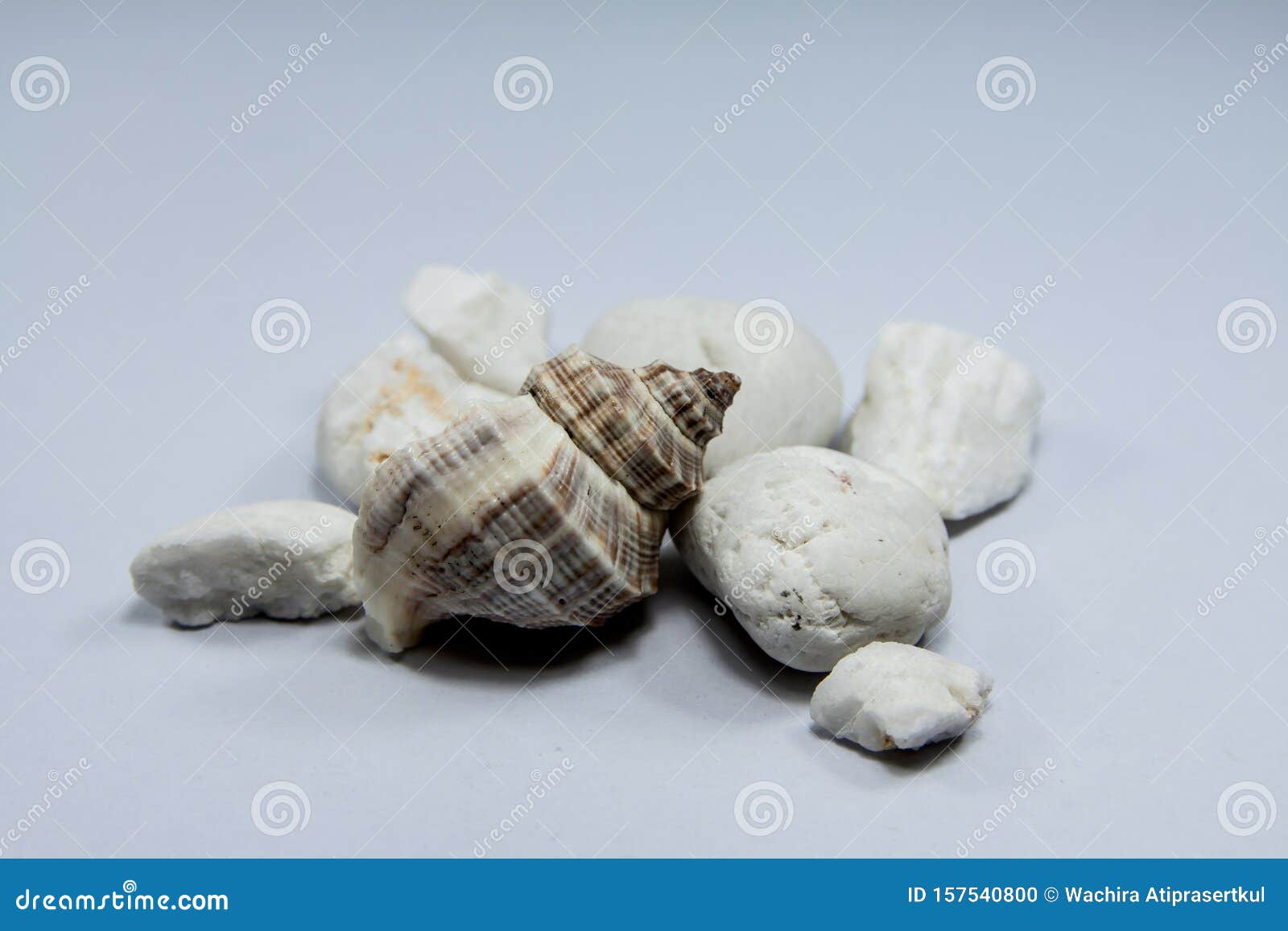 Marble Stone Shell Objects on the White Background Stock Photo - Image ...
