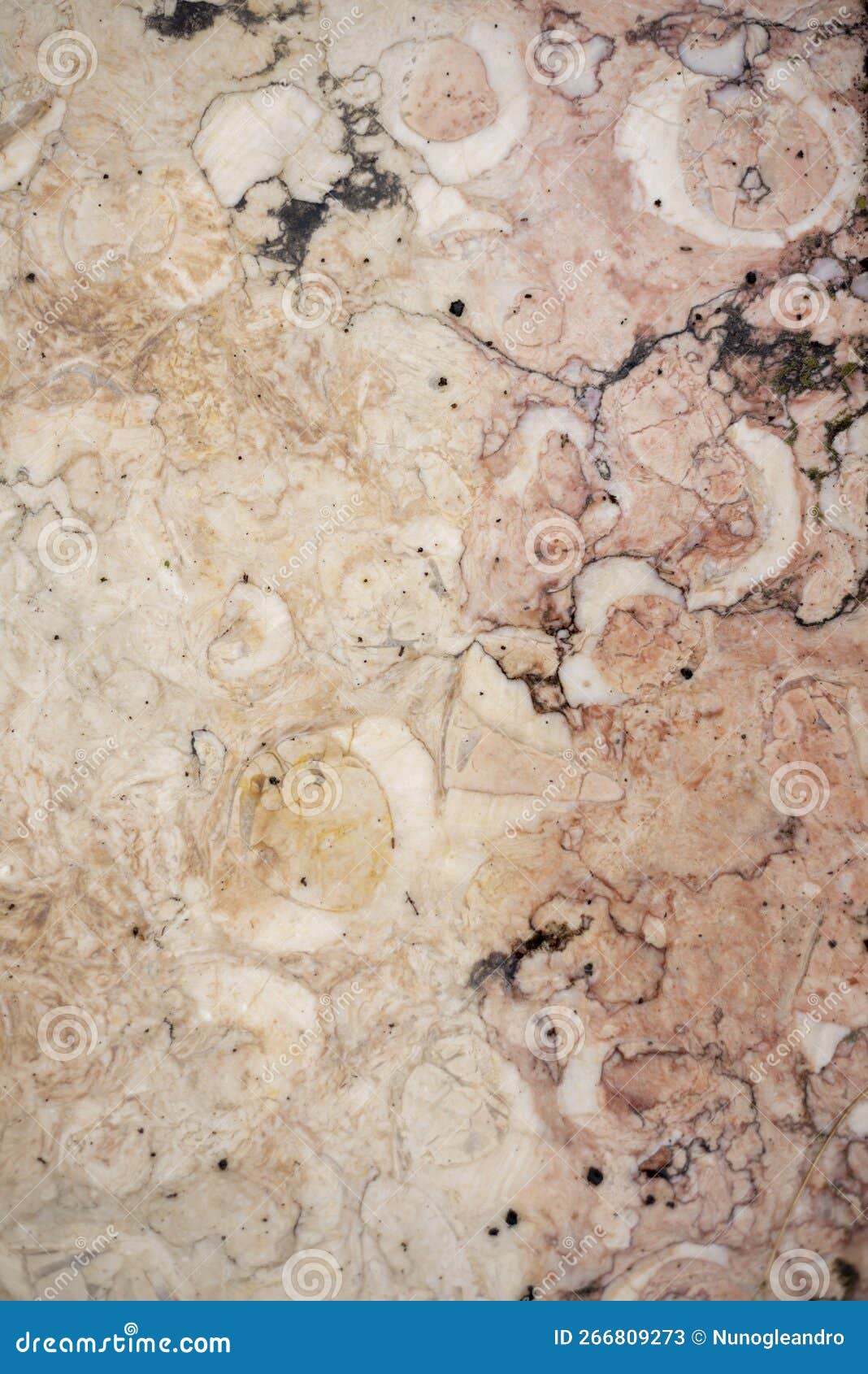 Marble Stone Background Image Stock Image - Image of backgro, textures ...