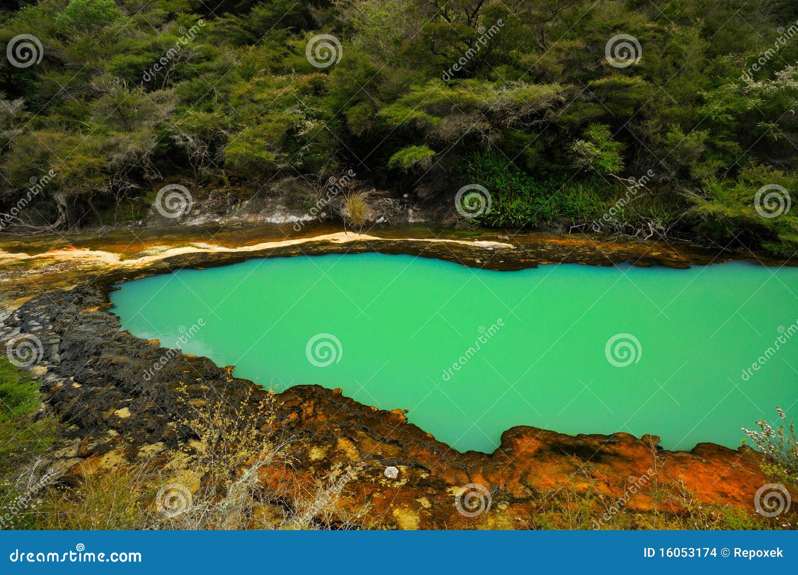 Marble Terrace, Waimangu Volcanic Valley Stock Photo - Image of cloudy ...