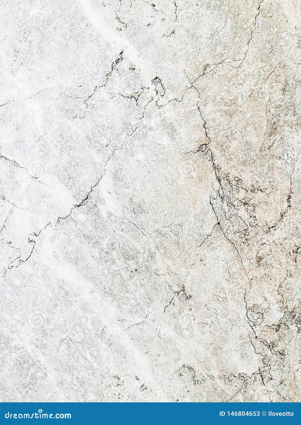 Great for Textures and Backgrounds. Perfect Background Stock Image ...