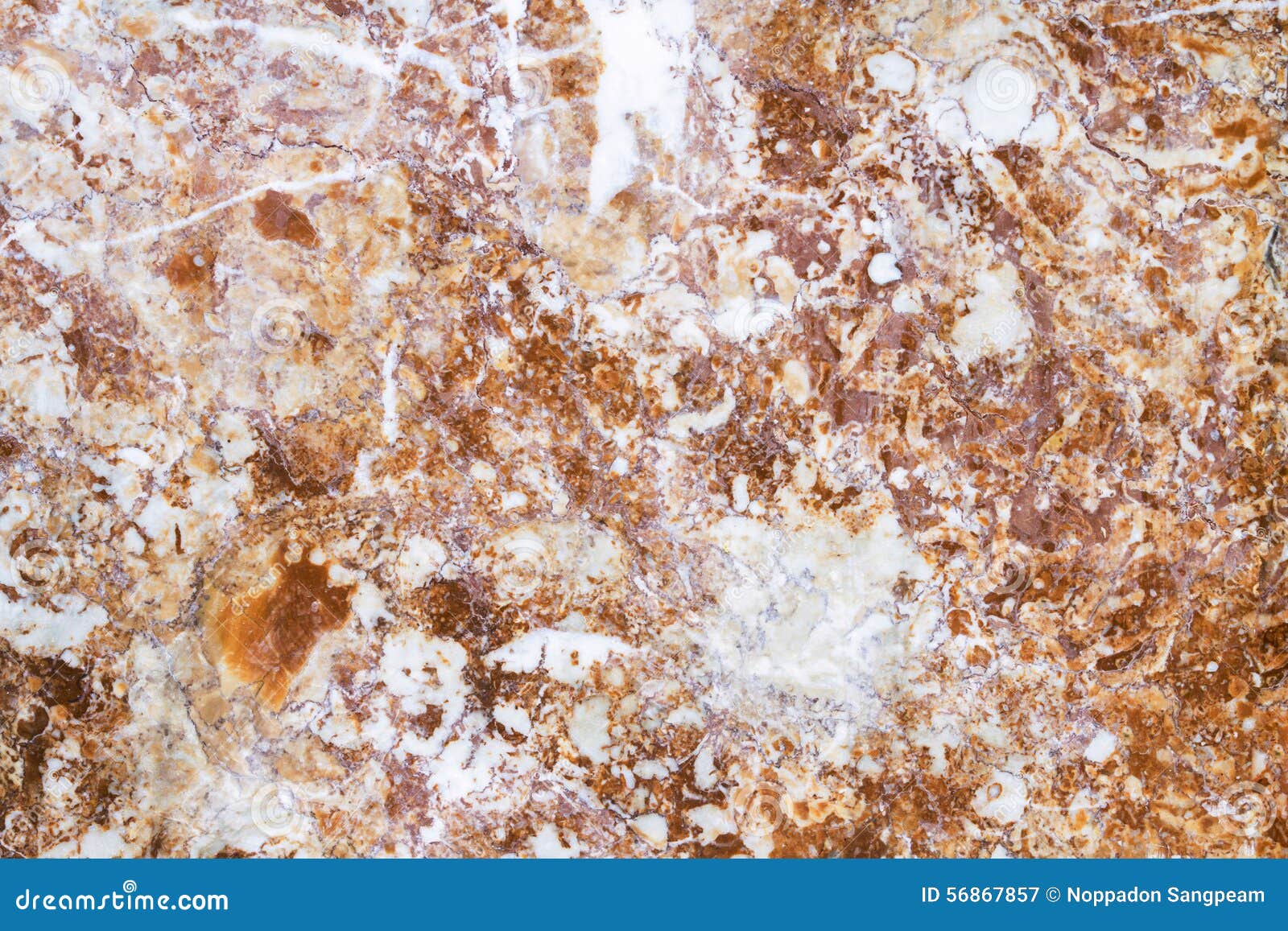 Marble Texture, Detailed Structure of Marble in Natural Patterned for ...