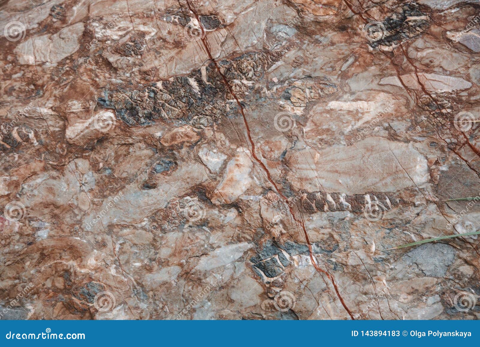 Marble Texture. Stone Cream Background Stock Image - Image of ...
