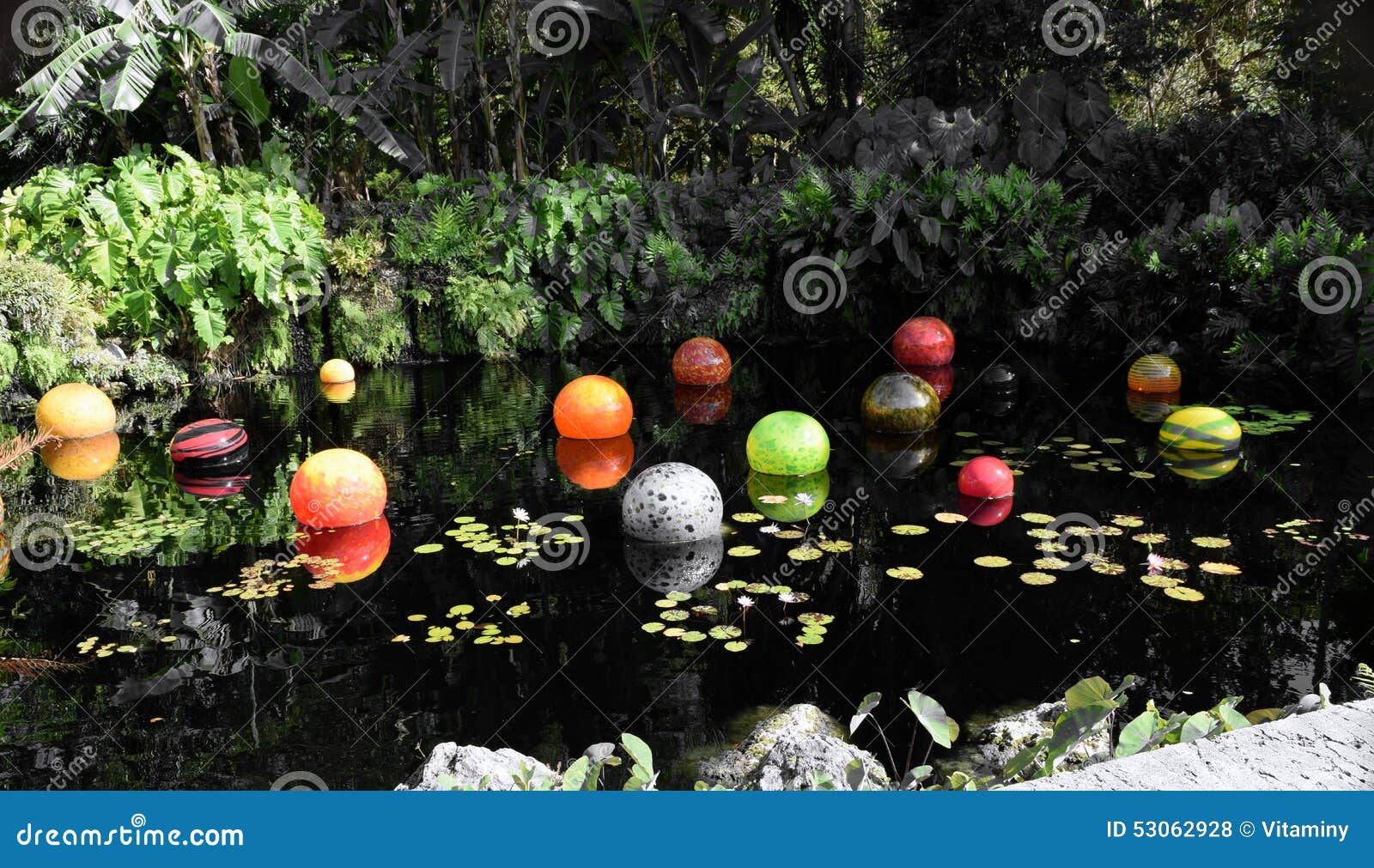 Marbles in the Pond stock photo. Image of lake, pond - 53062928