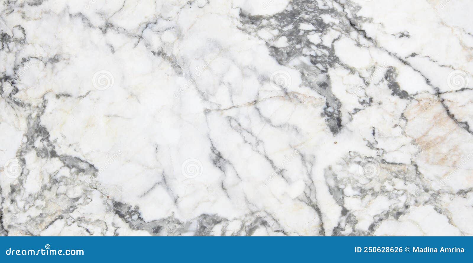 Marbre Blanc Texture Pierre Carrara Marbre Fond Photo stock - Image du ...
