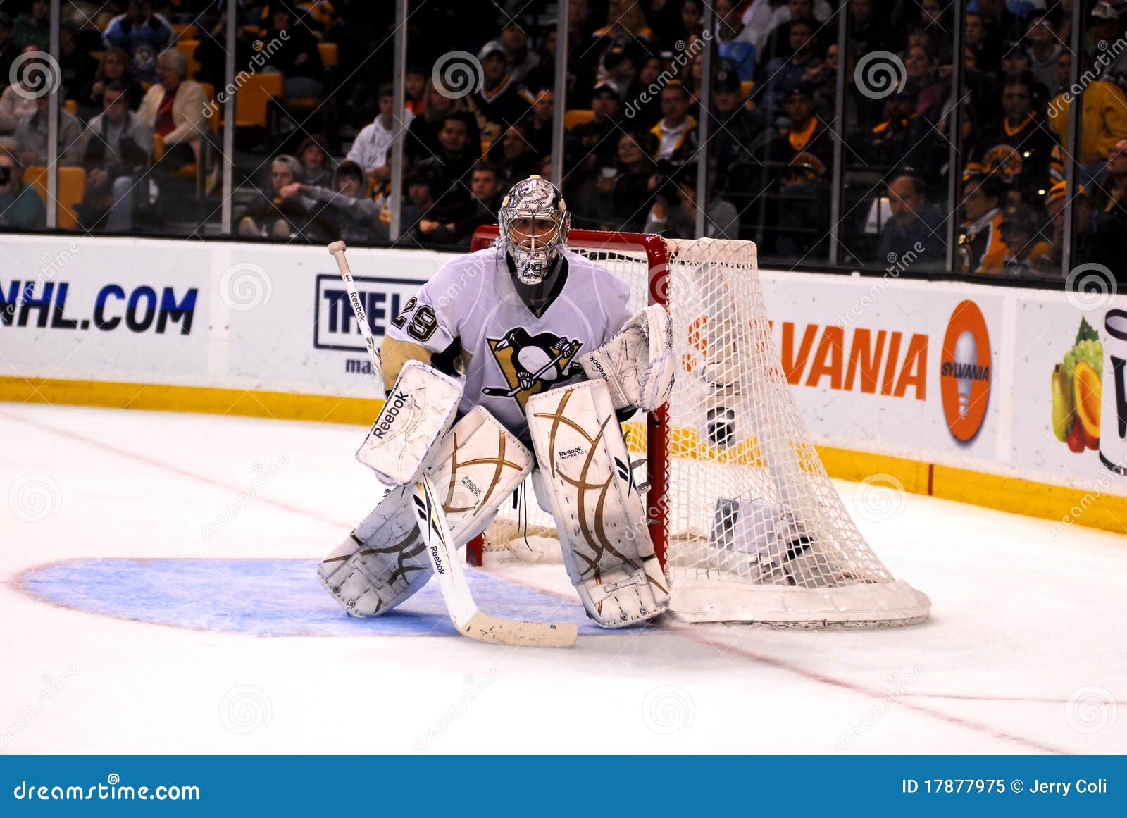 Marc-Andre Fleury Pittsburgh Penguins Goalie Editorial Image - Image of ...