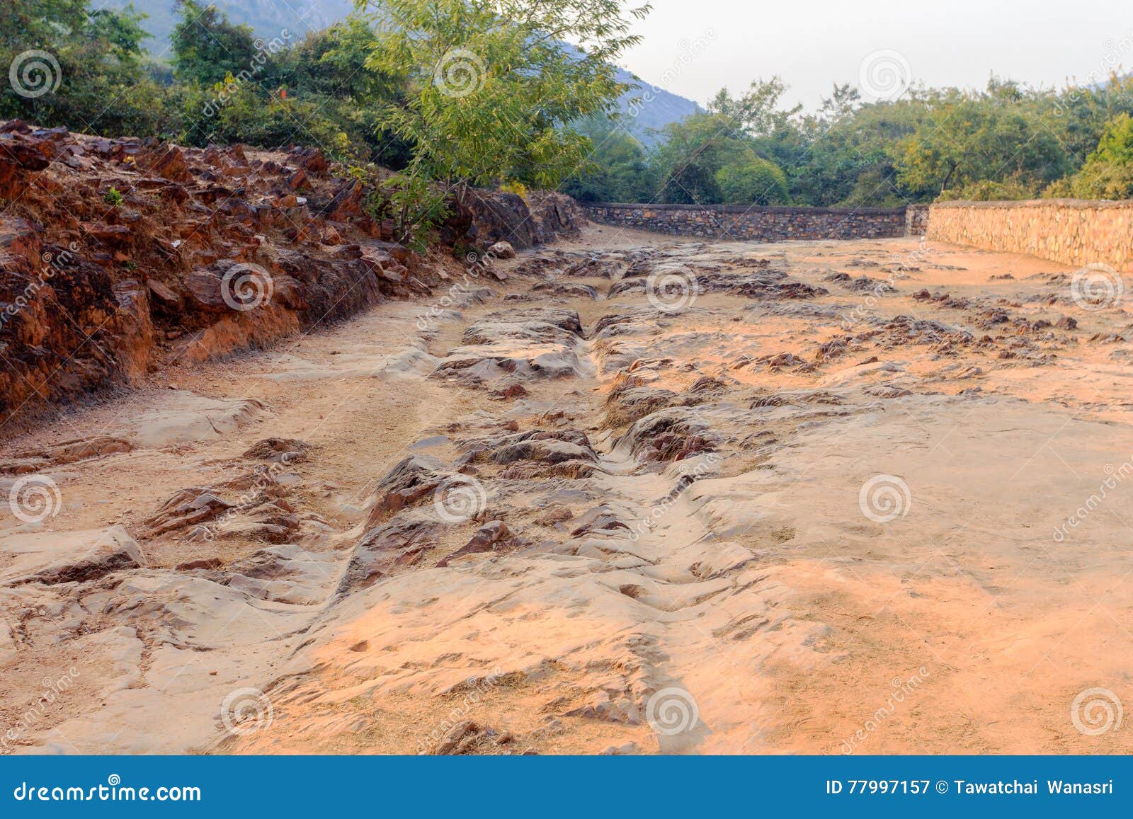 Marca Y Shell Characters De La Rueda Del Carro Fotografía editorial ...