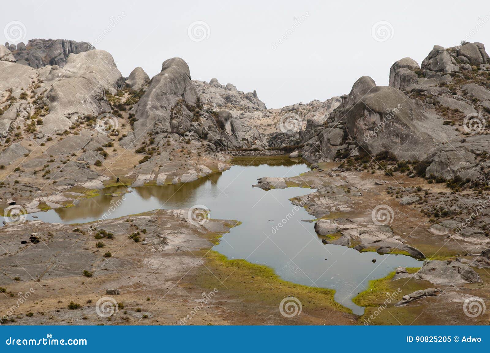 Marcahuasi Stone Forest - Peru Stock Image - Image of weird, markawasi ...