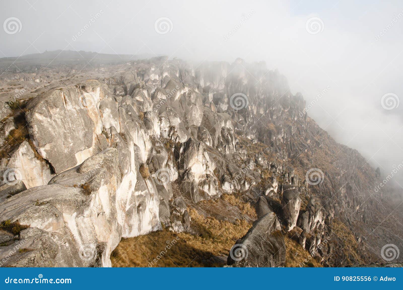 Marcahuasi Stone Forest - Peru Stock Photo - Image of unique, stone ...