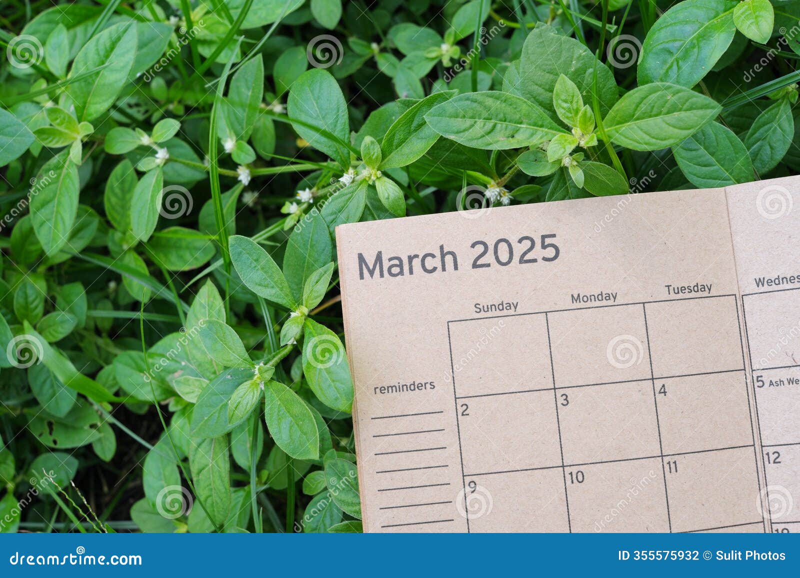 March 2025 Calendar on Lush Green Grass Leaves Background. Spring 2025 ...
