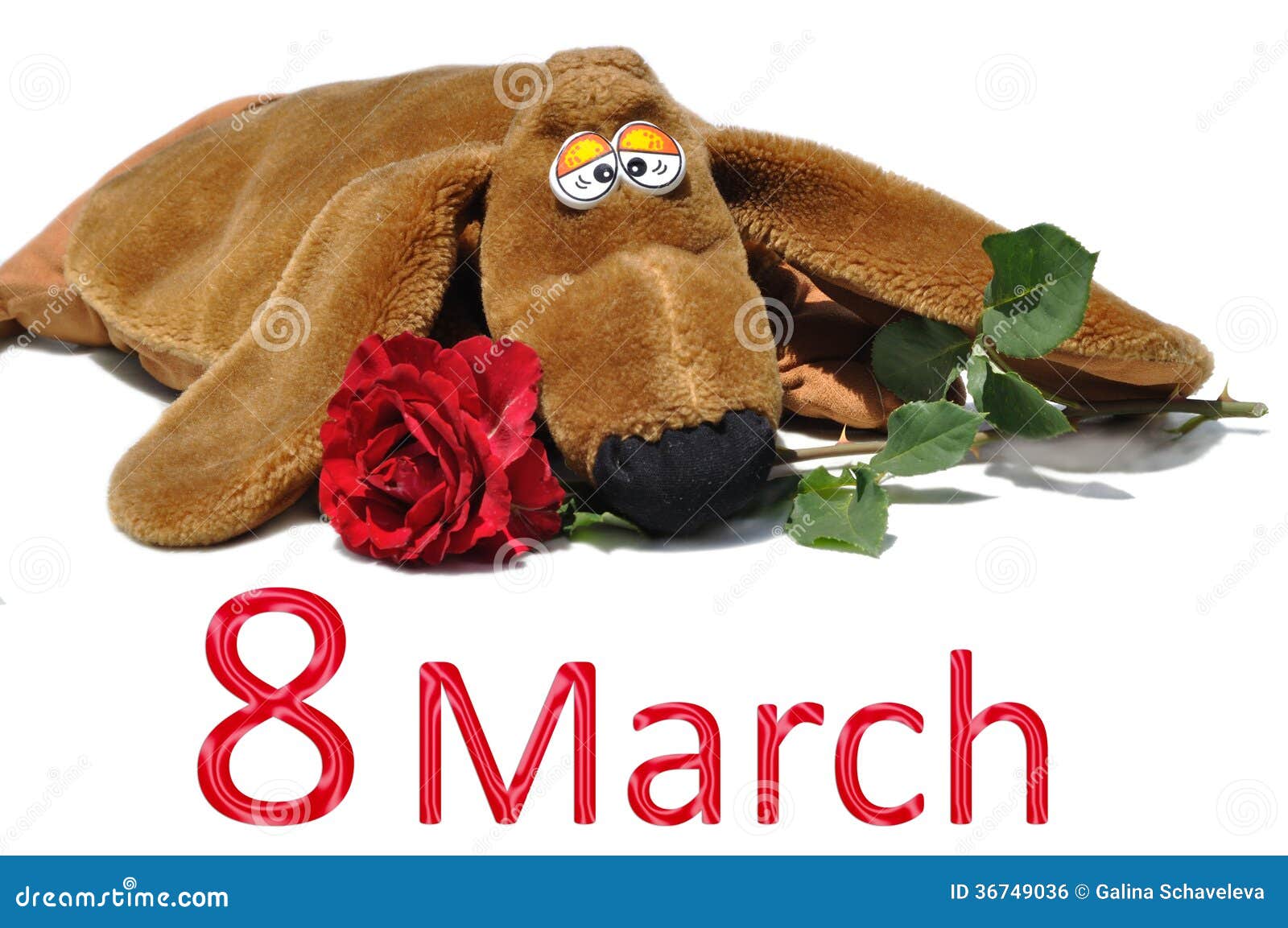 8 March and dog stock photo. Image of march, gift, postcard - 36749036