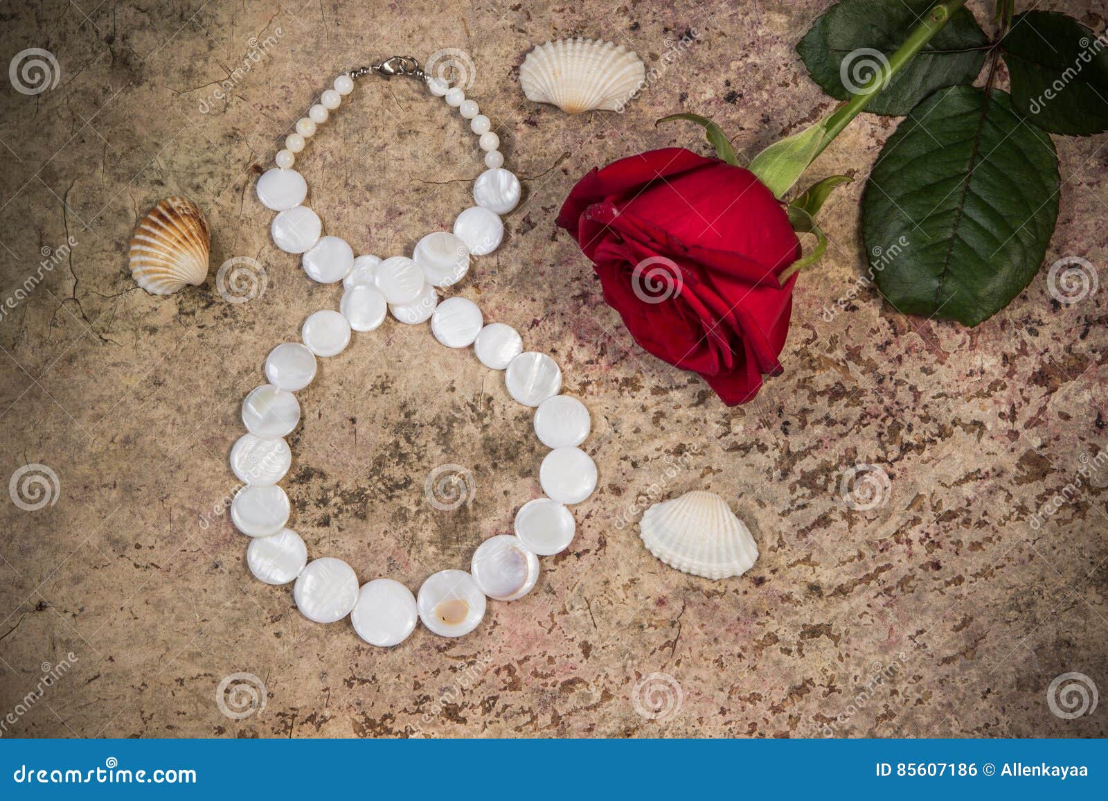 March 8, Red Rose Flower and Shells Stock Photo - Image of gift, bead ...