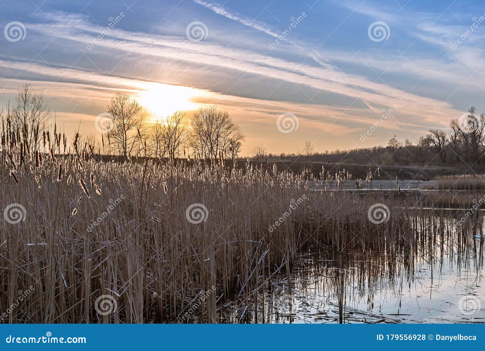 March with reflections stock photo. Image of lights - 179556928