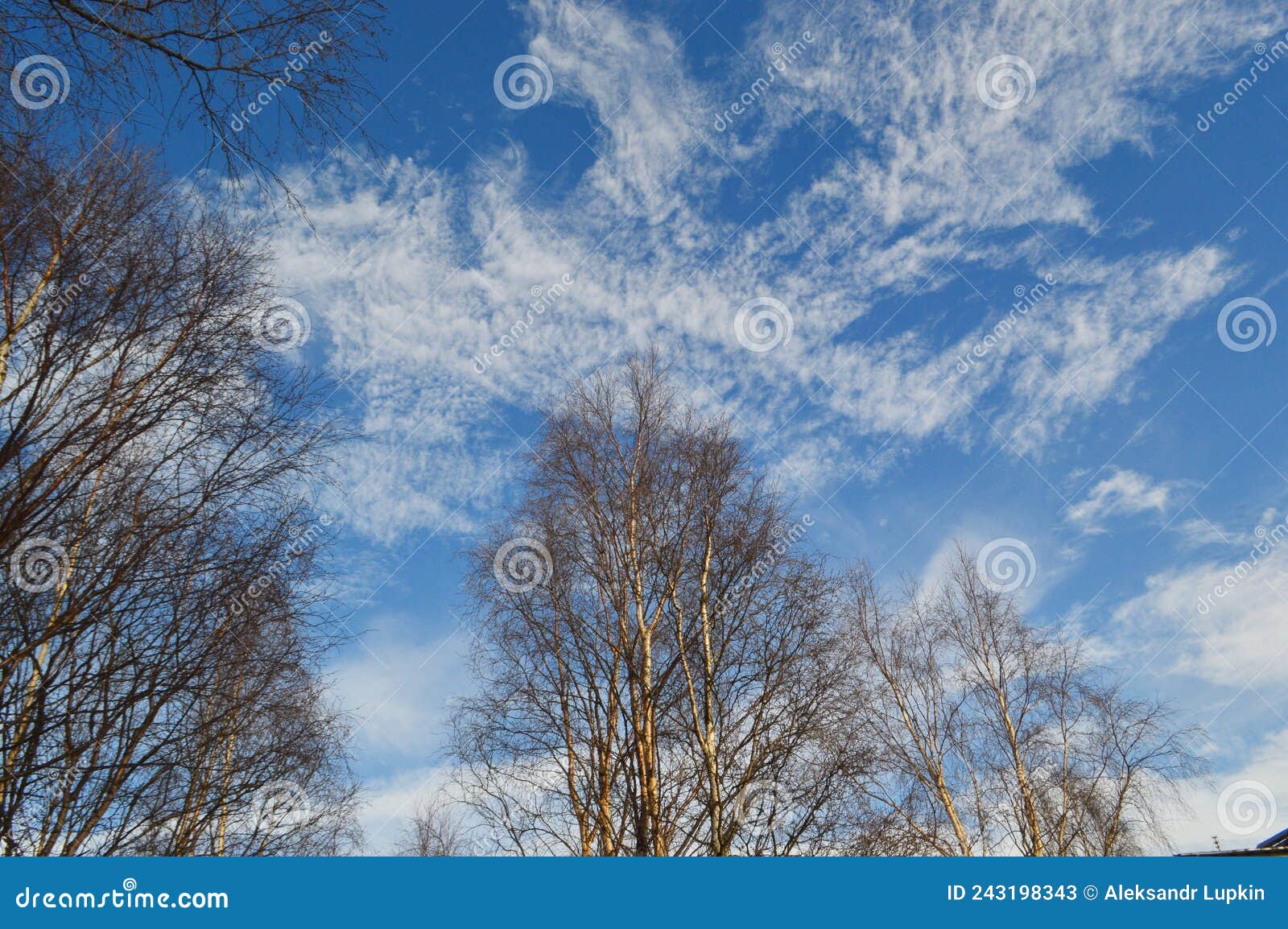 March Spring Blue Sky with Clouds Stock Image - Image of march, 2022: ...